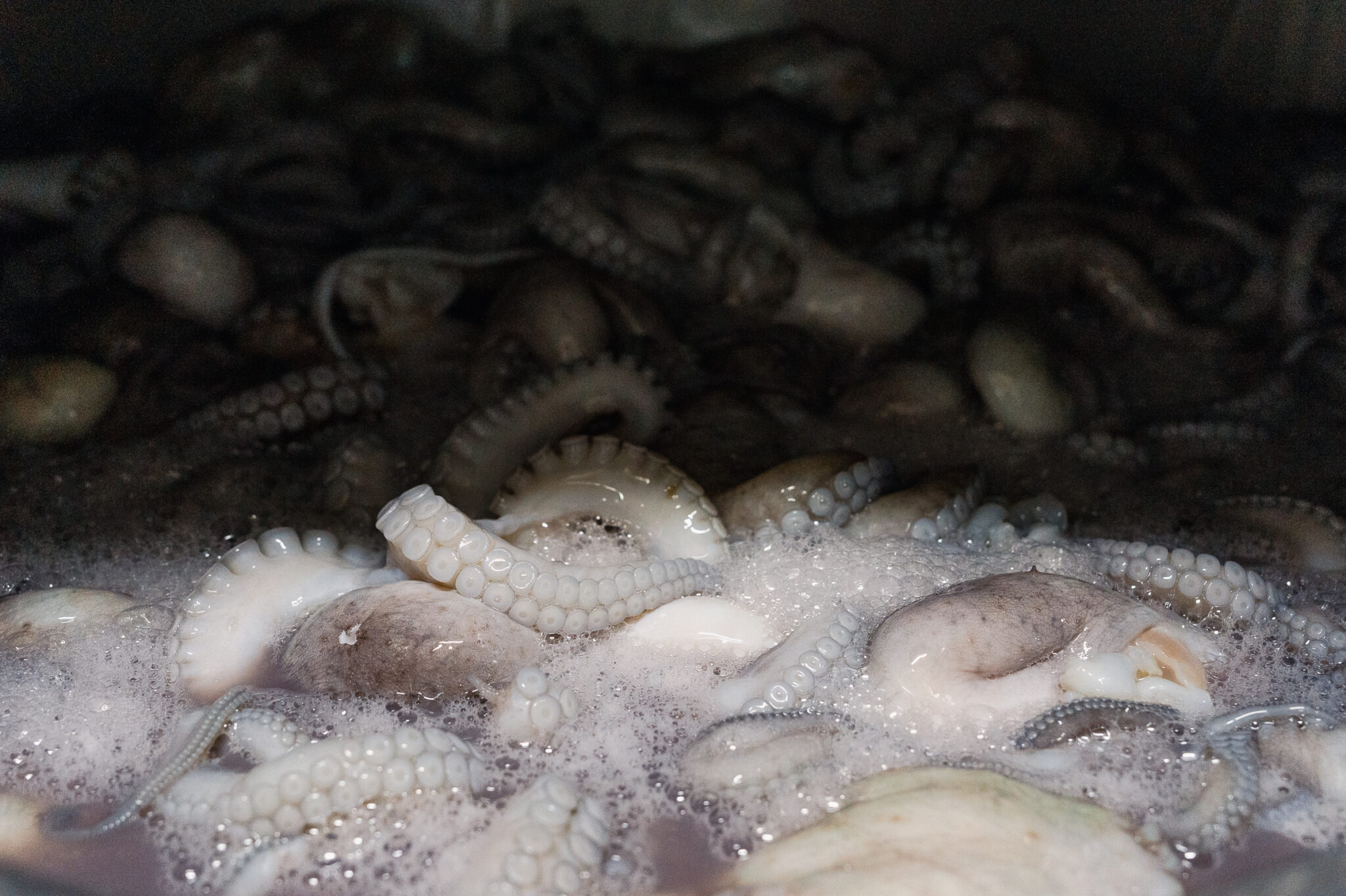 Is eating octopus sustainable? The struggle of artisanal fishers from ...